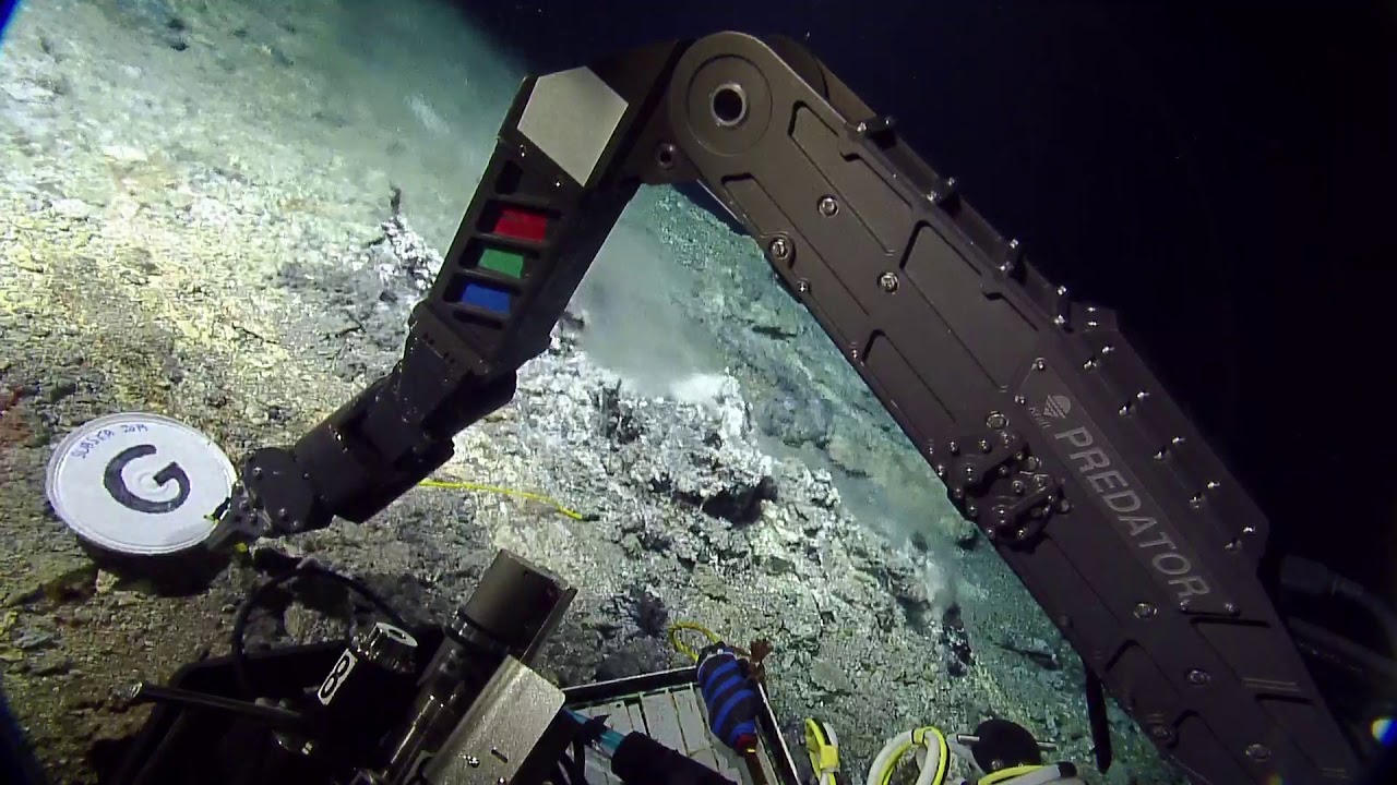 ROV Hercules Dive NA108-H1756-20190607T1910UTC-285 - YouTube
