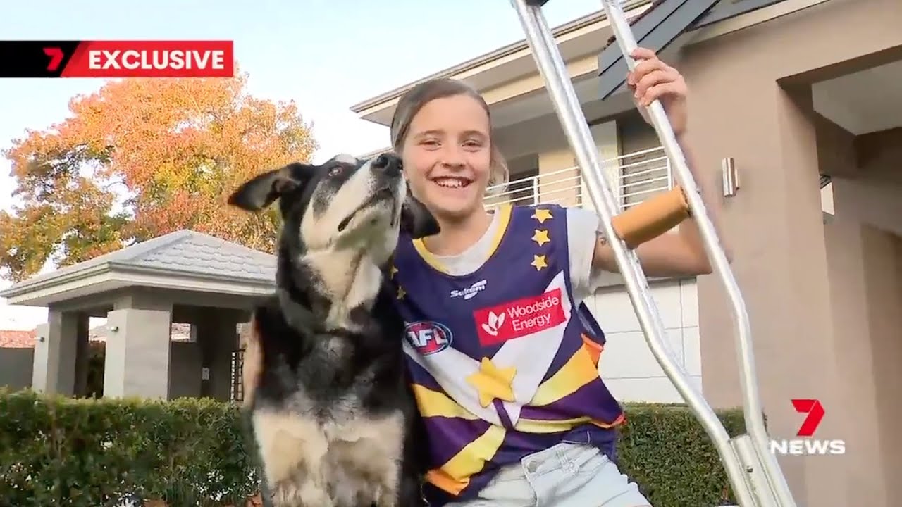 Sloane's journey | 7 News - YouTube