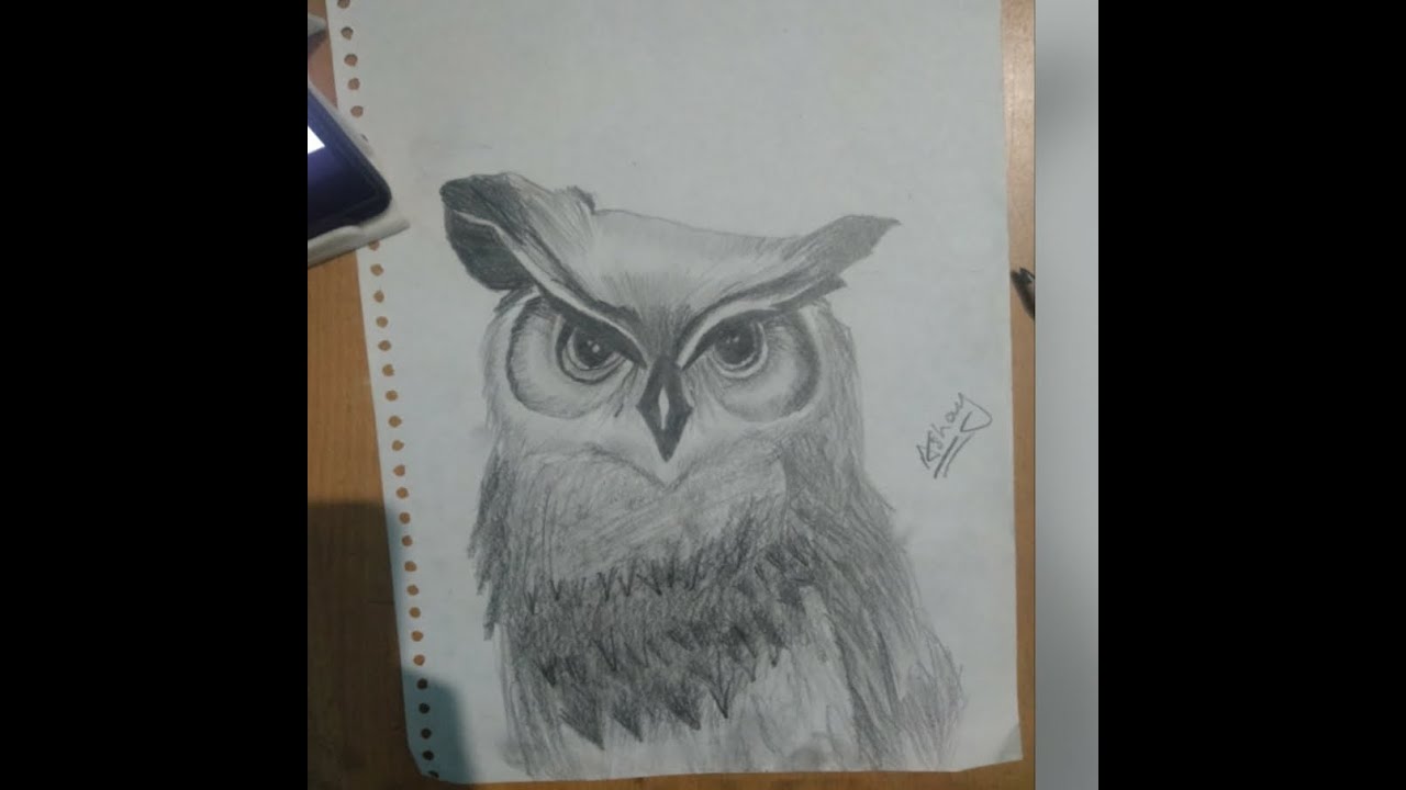 How to draw realistic Owl - YouTube