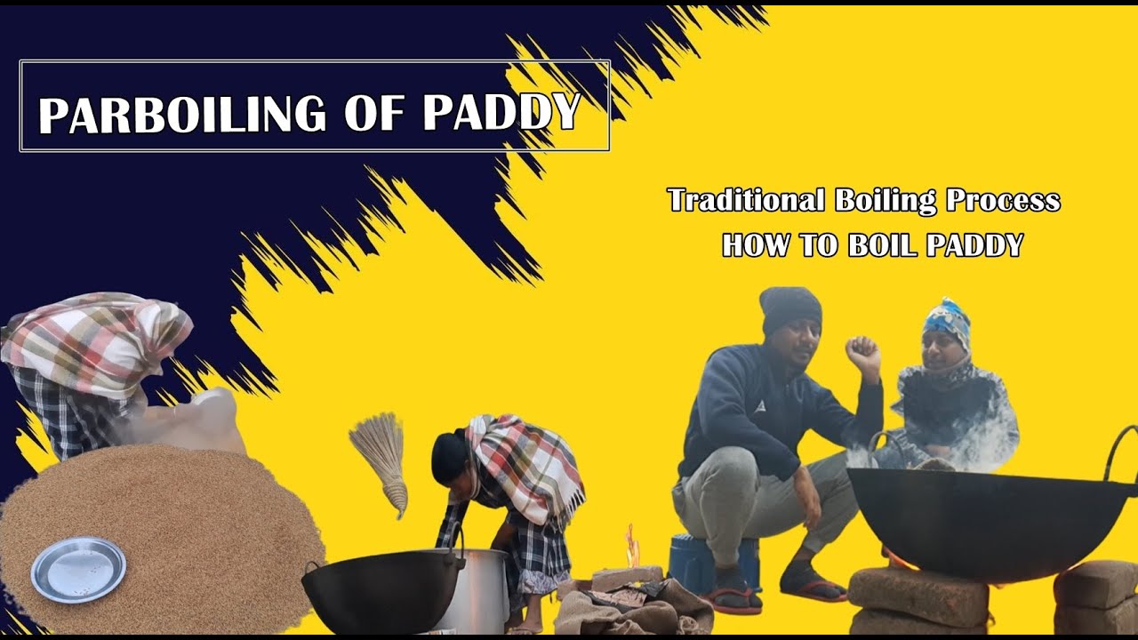 ANCIENT PADDY BOILING PROCESS || TRADITIONAL PROCESS || TASTY RICE ...
