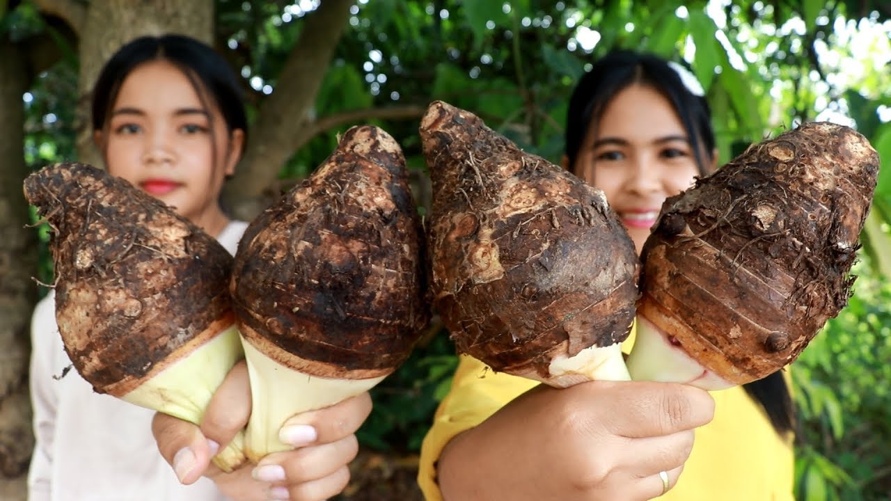Fried Taro With Milk Recipe - Cooking Taro - My Food My Lifestyle - YouTube