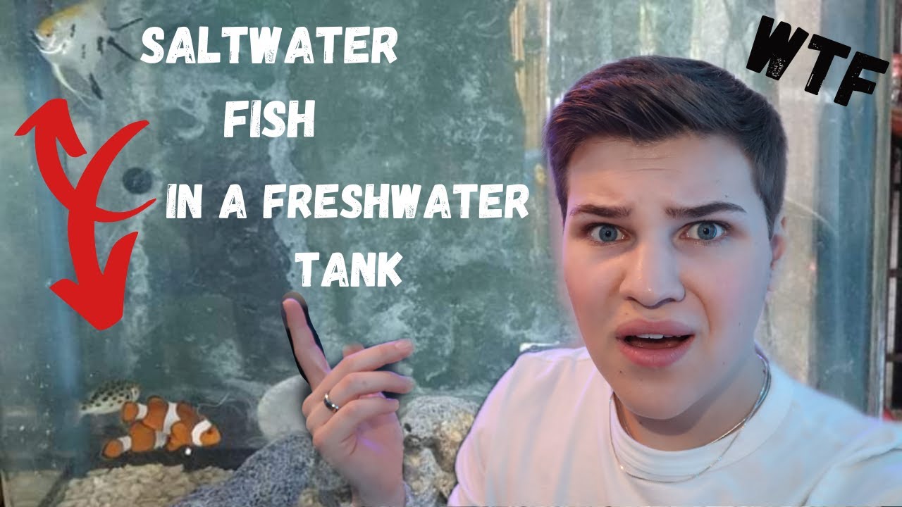 REACTING TO THE *MOST DISGUSTING* AQUARIUMS EVER (Animal Abuse ...