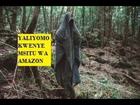YAFAHAMU MAAJABU 30 YA MSITU WA #AMAZON - YouTube