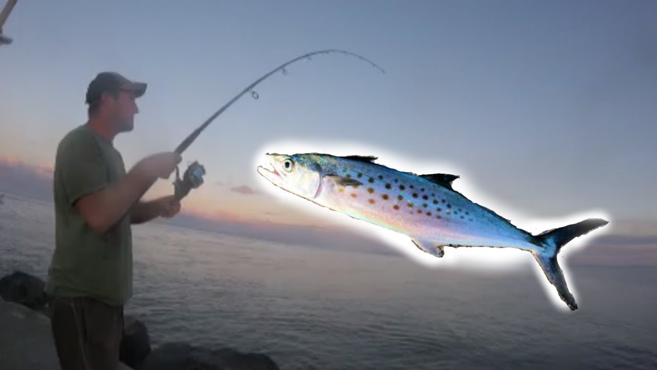 Jupiter Inlet Fishing! He hooked a BIG one!!! - YouTube