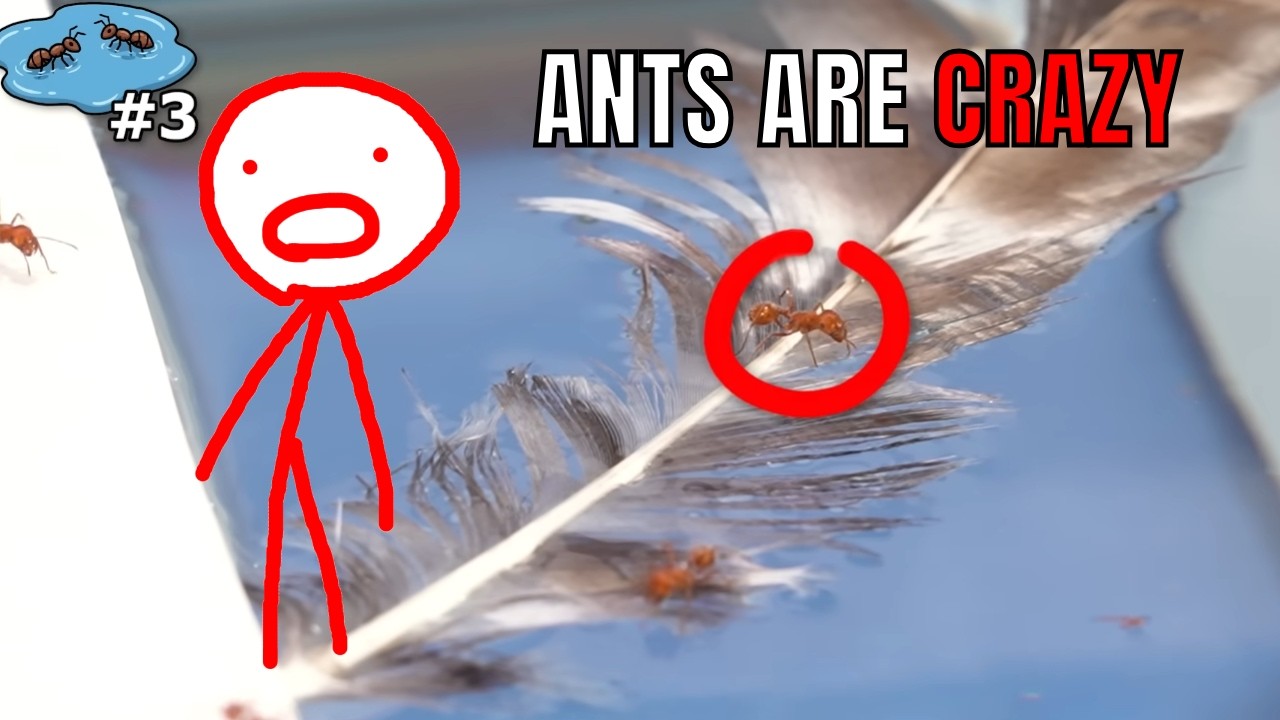 1000 Ants vs Natural Disasters - YouTube