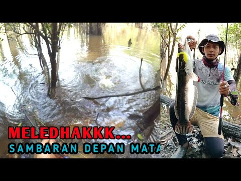 UNBOXING ROD SPINNING RELIX NUSANTARA CAPUNG 632 17 LB || CASTING IKAN ...