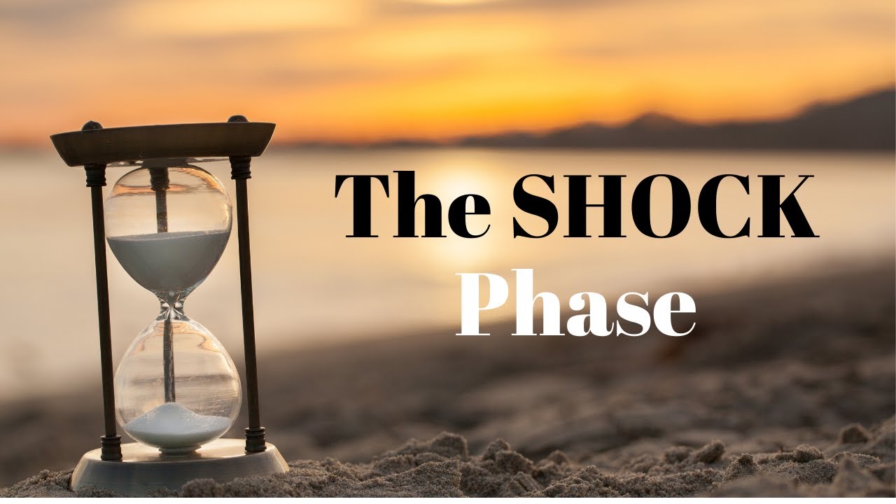 #2 - The Shock Phase--The End of Life Journey - YouTube