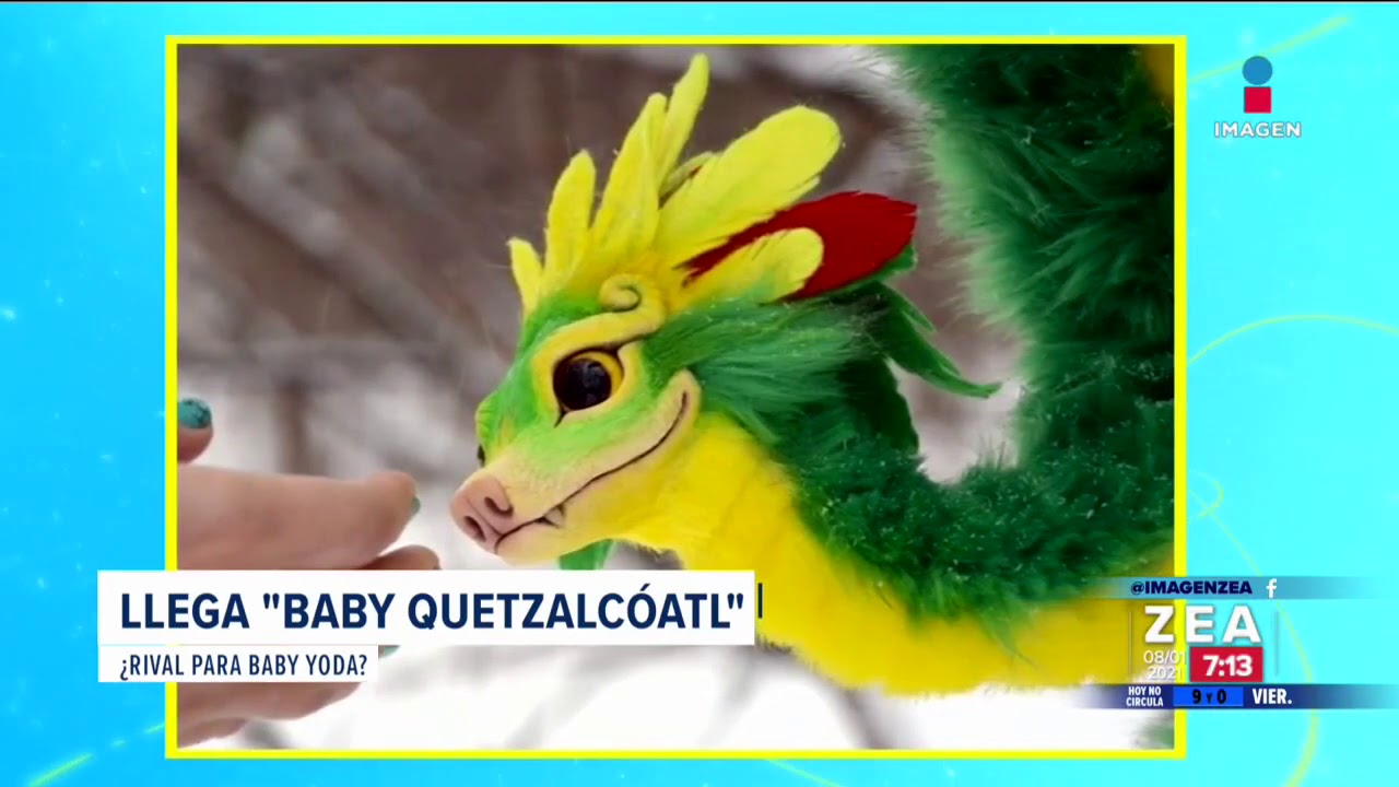 Llega "Baby Quetzalcóatl" y se apodera de las redes sociales | Noticias ...