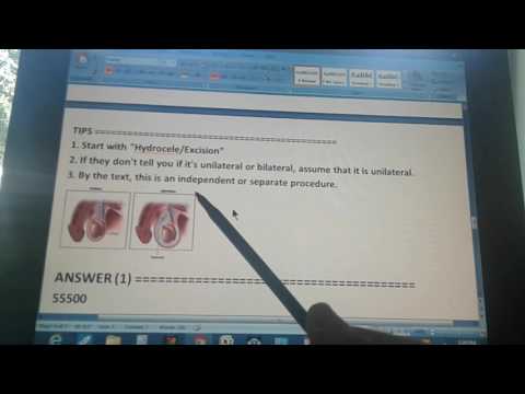 CPT JJ-RVA-261-95-L1 Hydrocelectomy
