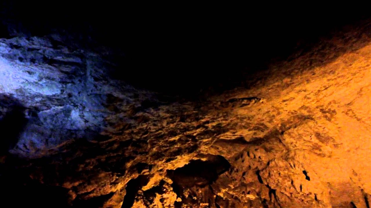 Wildlife at Jenolan Caves, NSW - YouTube