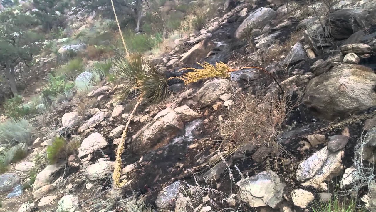 First images after the Finger Rock Fire - YouTube