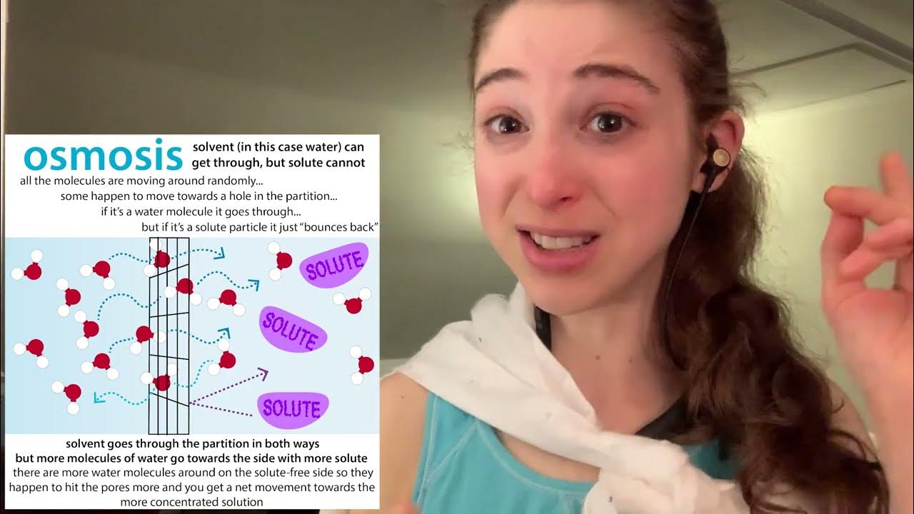 Osmolarity, tonicity, & predicting solvent flow - with some biochemistry implications & examples ...