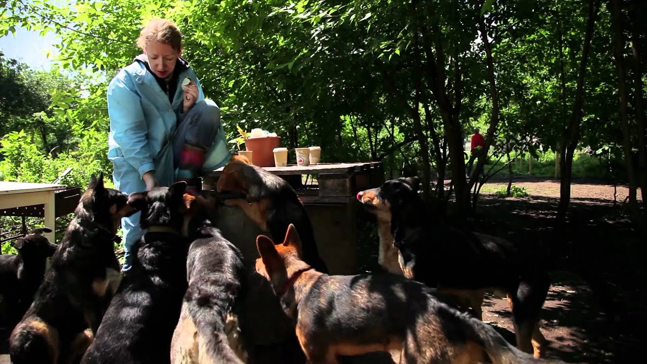 A Place We Call Home trailer - YouTube