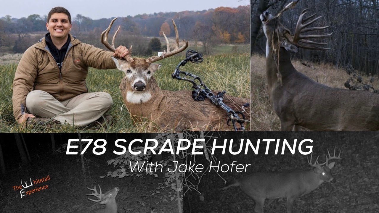 Scrape Hunting Whitetail Bucks| Jake Hofer of exodus discuss how to ...
