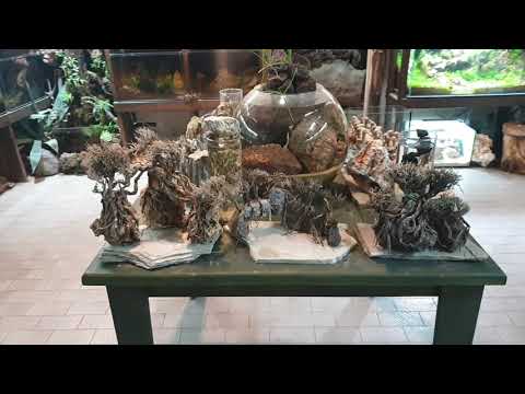 Su perisi tasarım deposu