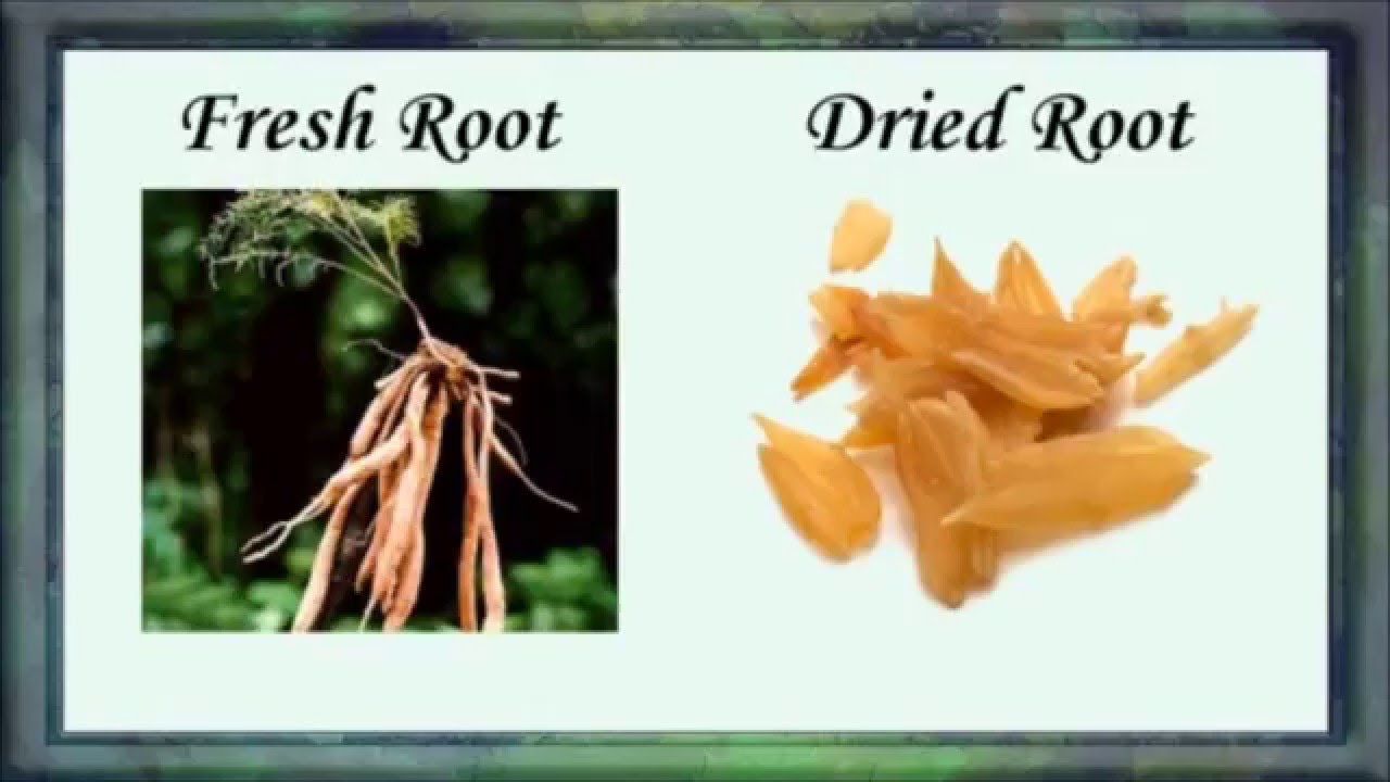 Tian Men Dong, Wild Asparagus Root (Asparagus Cochinchinensis) - YouTube