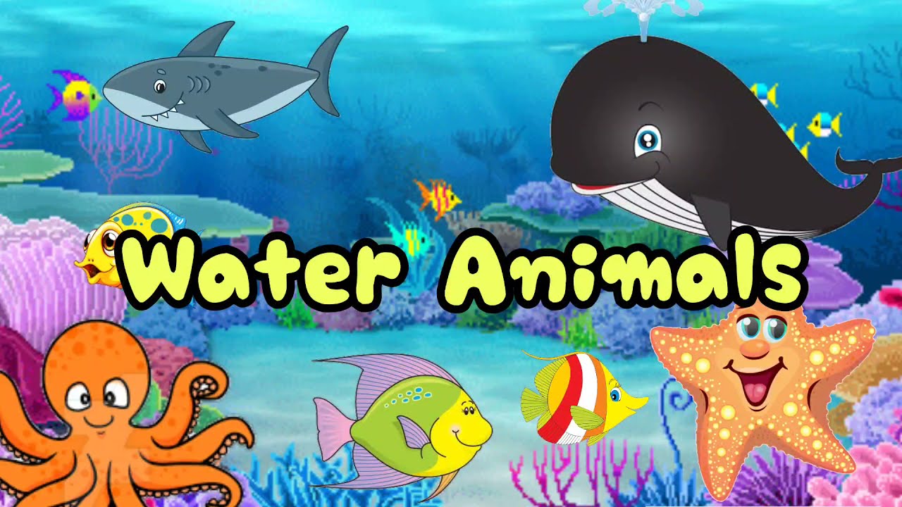 Water/Sea/Ocean Animals// Animated Video for Kids// Preschool Learning ...