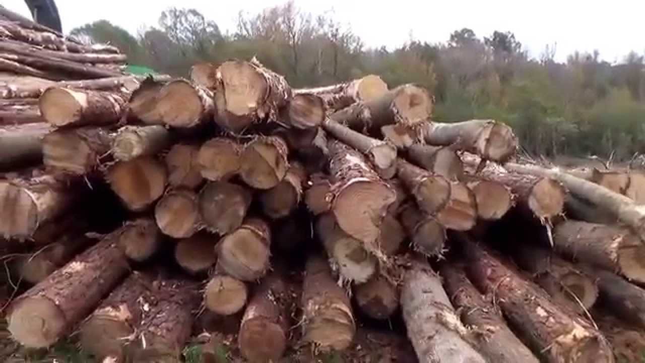 How I stack my piles and all of our sorts. - YouTube