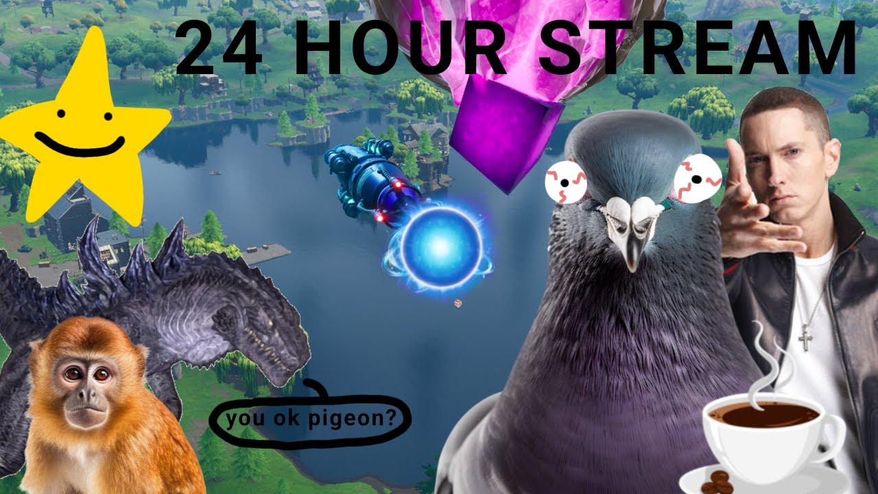 ️ pigeon makes an awfully hot coffee pot while there's a cinematic ...