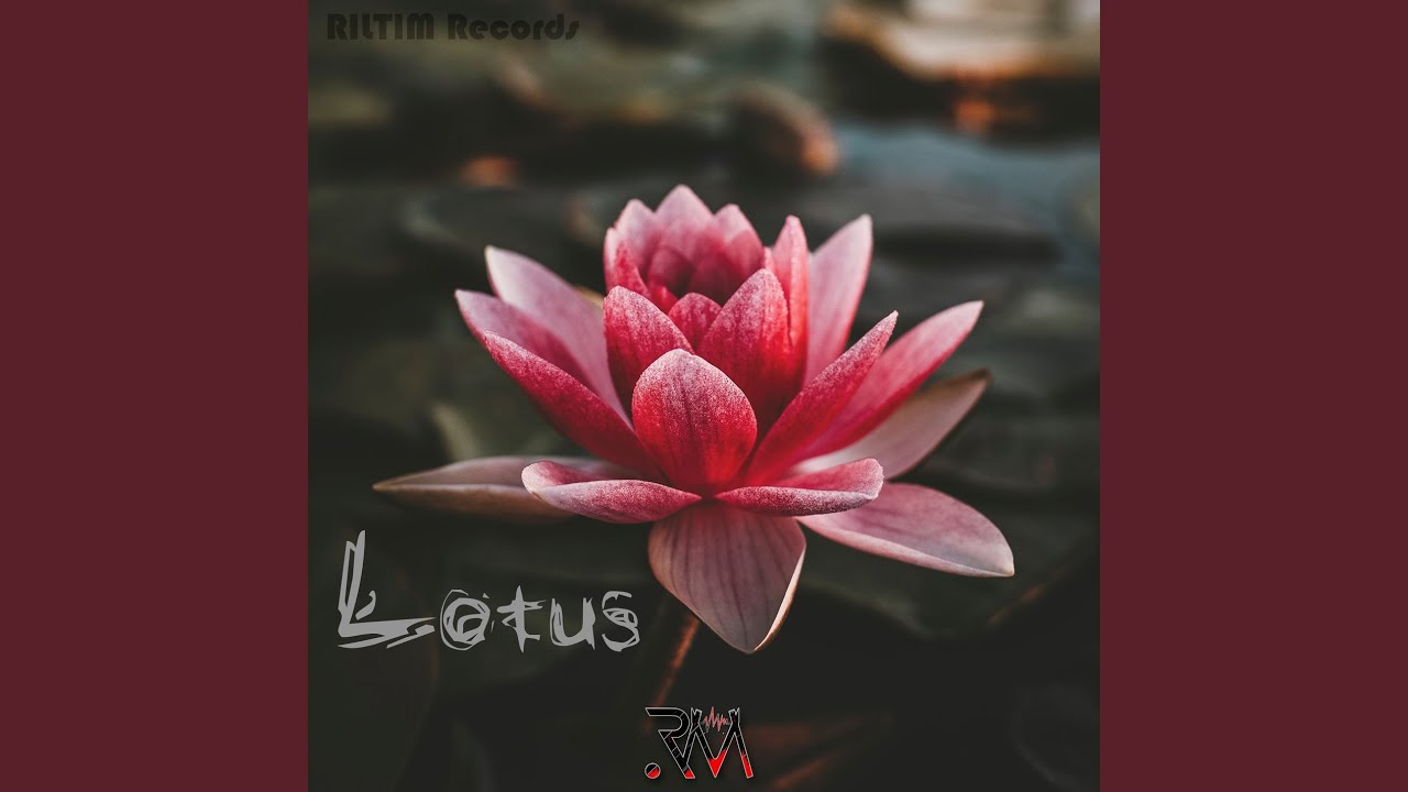 Lotus - YouTube Music