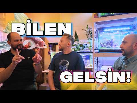 Bir Doktorun Akvaryum Hastalığı! 😂💊🐠 | Hobici Ziyareti - 2