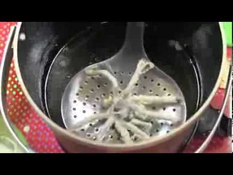 'Bug Chef' cooks up tasty dishes with tarantulas and scorpions - YouTube