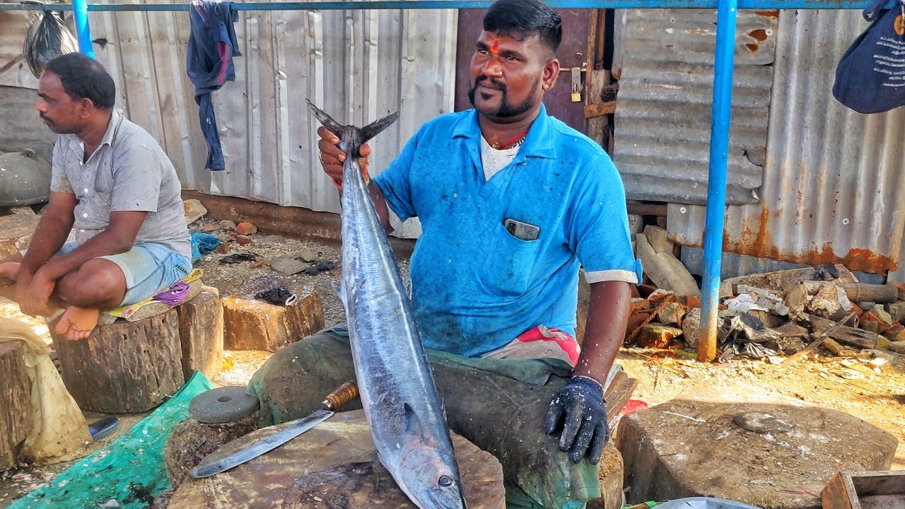 8 Kg Massive King Kola Fish Cutting🔪| Master of Fish Cutter Mr.Govind ...