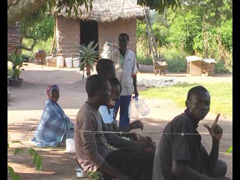 1 WDSA Straight Talk to Strengthen Delivery Part 1 of 2 - YouTube
