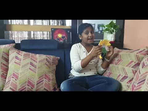Three colours Indian patriotic song by Dakshitha - YouTube