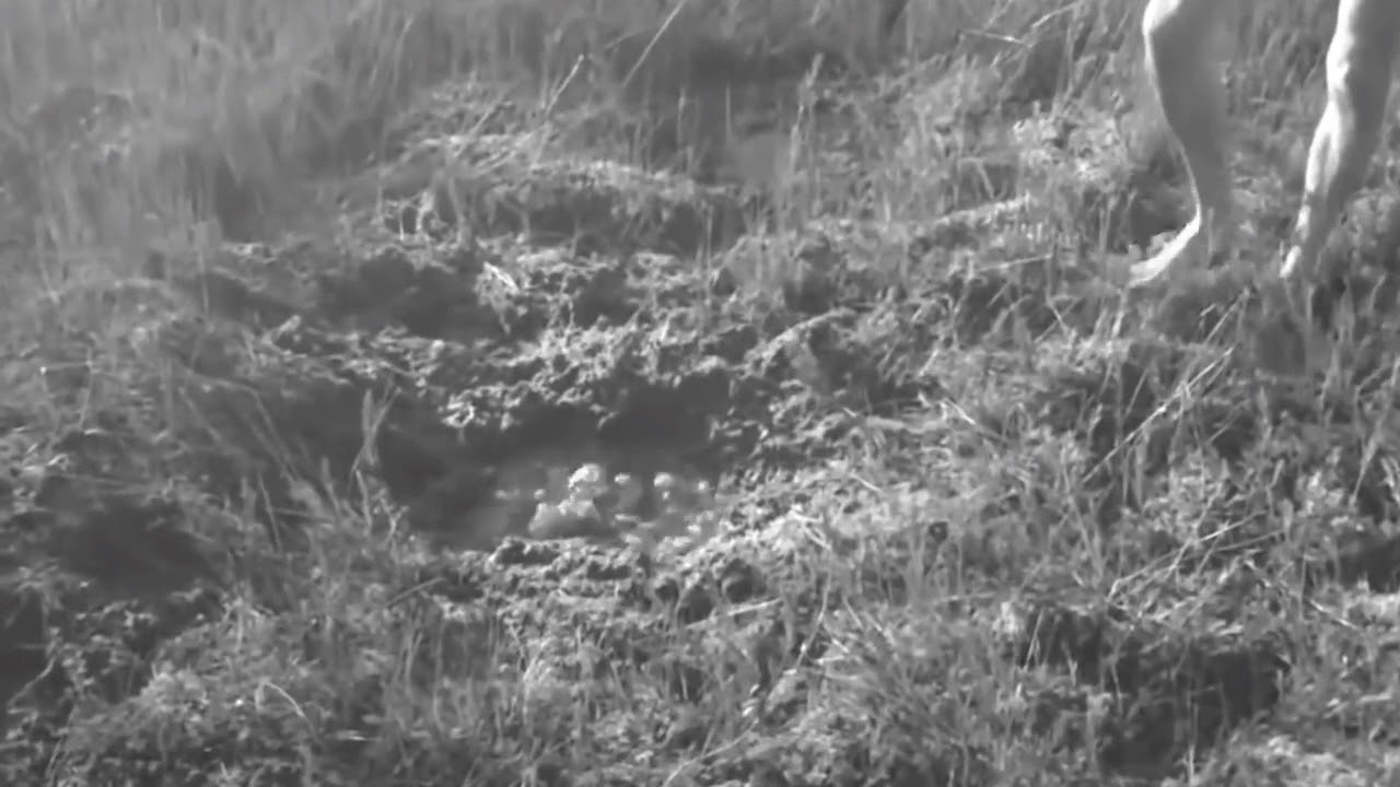 Crazy man jumping into a hole - YouTube