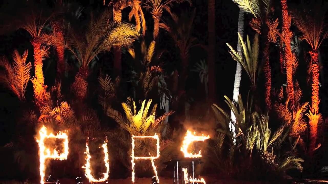 PURE Life Experiences - YouTube