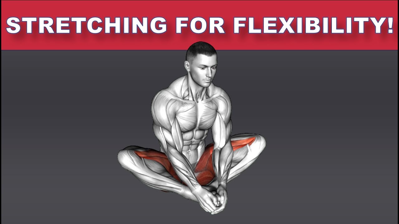 10 Minute Lower Body Stretching Routine for Flexibility! - YouTube