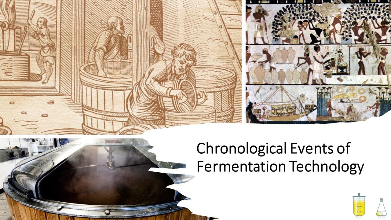 InBt121 Chronological Events of Fermentation Technology - YouTube