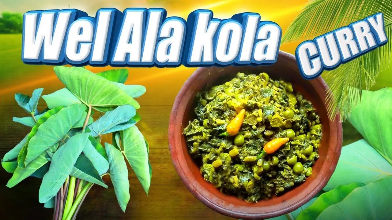 වෙල් අල කොල මාලුව | Wel Ala Kola Curry | Kochchi Village Food Srilanka ...
