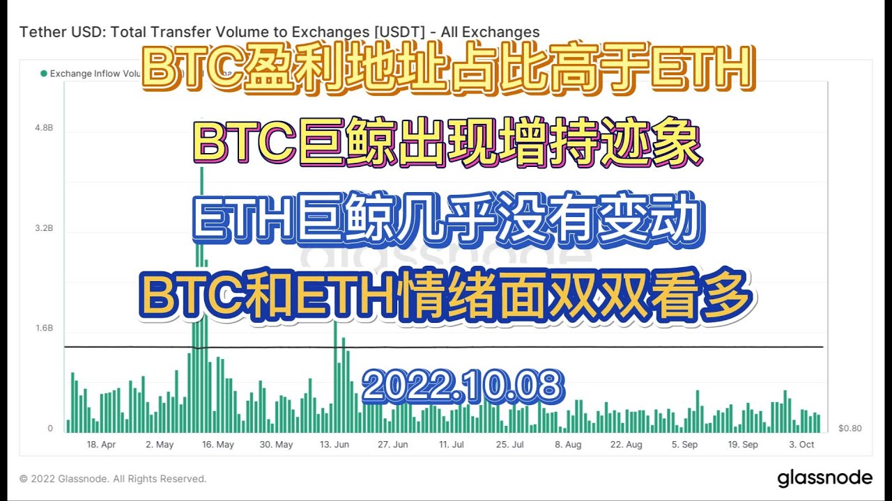 BTC和ETH近一年巨鲸变化，情绪面双双看多——2022.10.08 - YouTube