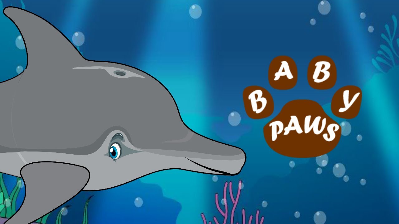 DIDI MTOTO WA POMBOO- Baby Dolphin | Baby Paws 🐾 [English Subtitles ...