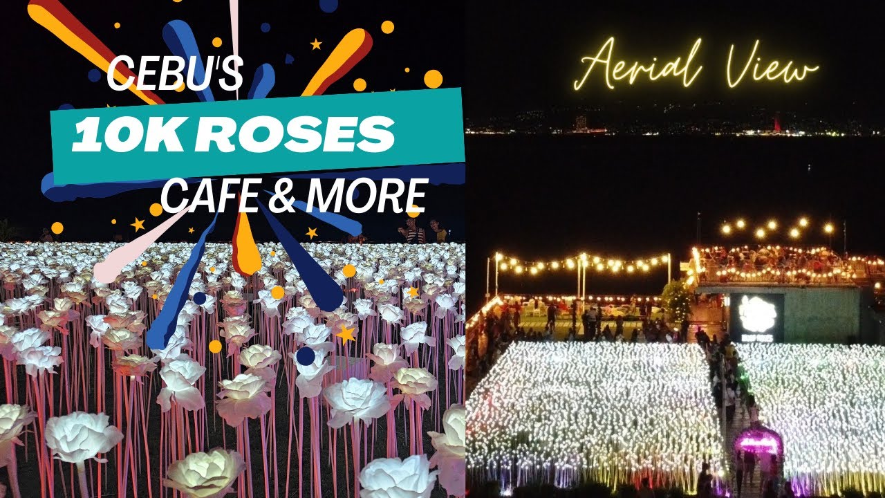 10000 Roses Cafe and More Aerial Tour | Explore Cebu - YouTube