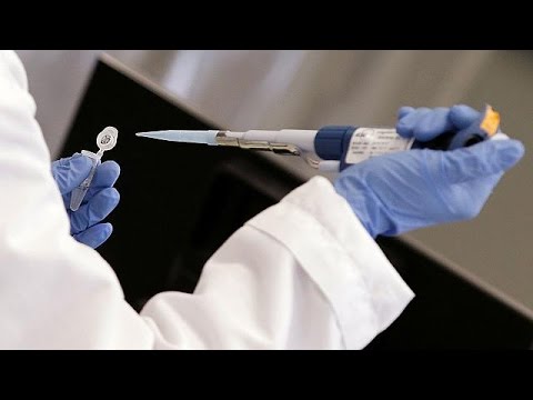 Científicos consiguen crear embriones híbridos de humano y cerdo - YouTube