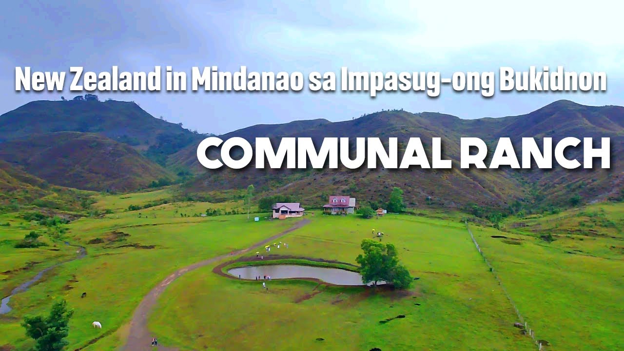 Communal Ranch - Narating ko din ang New Zealand in Mindanao sa Impasug ...