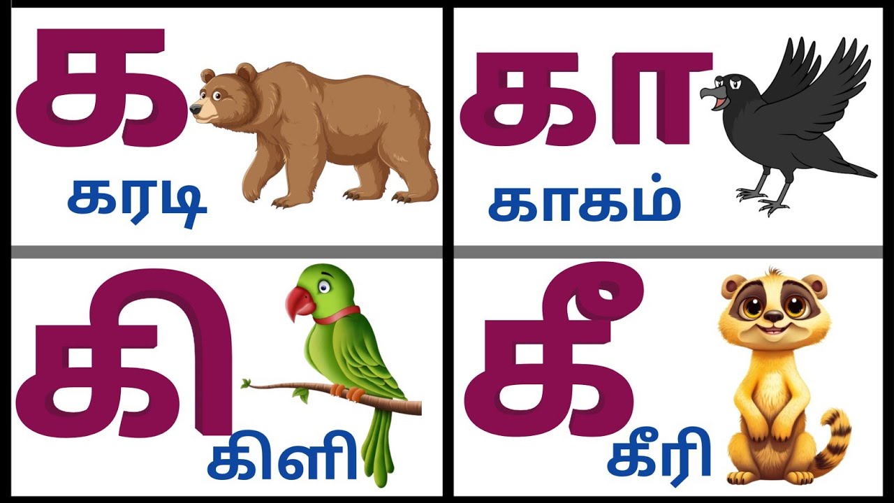 க கா கி கீ கு- உயிர்மெய்எழுத்துக்கள்| K Ka Ki Kee Ku Kool Uyirmei ...