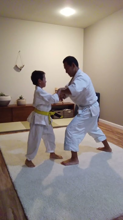 Push Hands Aikido Practice 7 | Tai Chi Inspired Body Awareness & Balance Exercises with Renta ...