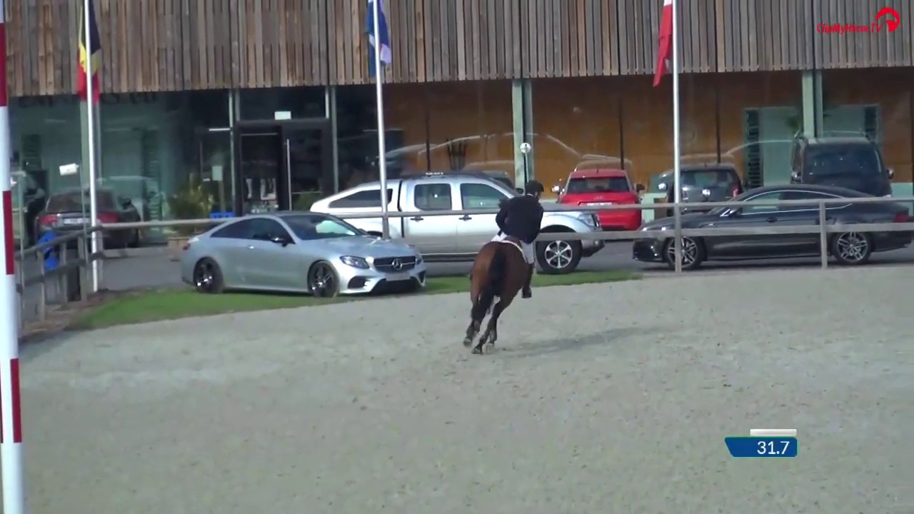 Inaki Van Den Dael (Eros Platiere x Cavalier Royale ) 1m40 CSI ...