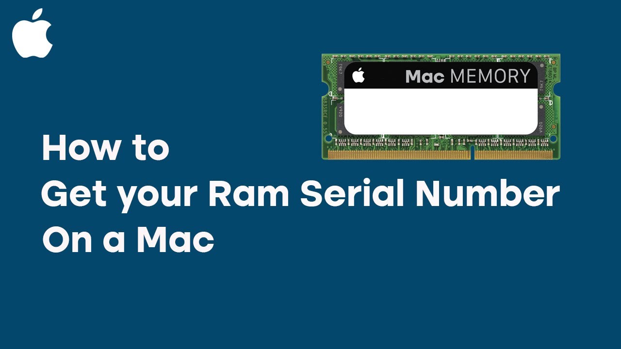 how to get serial number of your Ram on Mac - how to find your Mac's ...