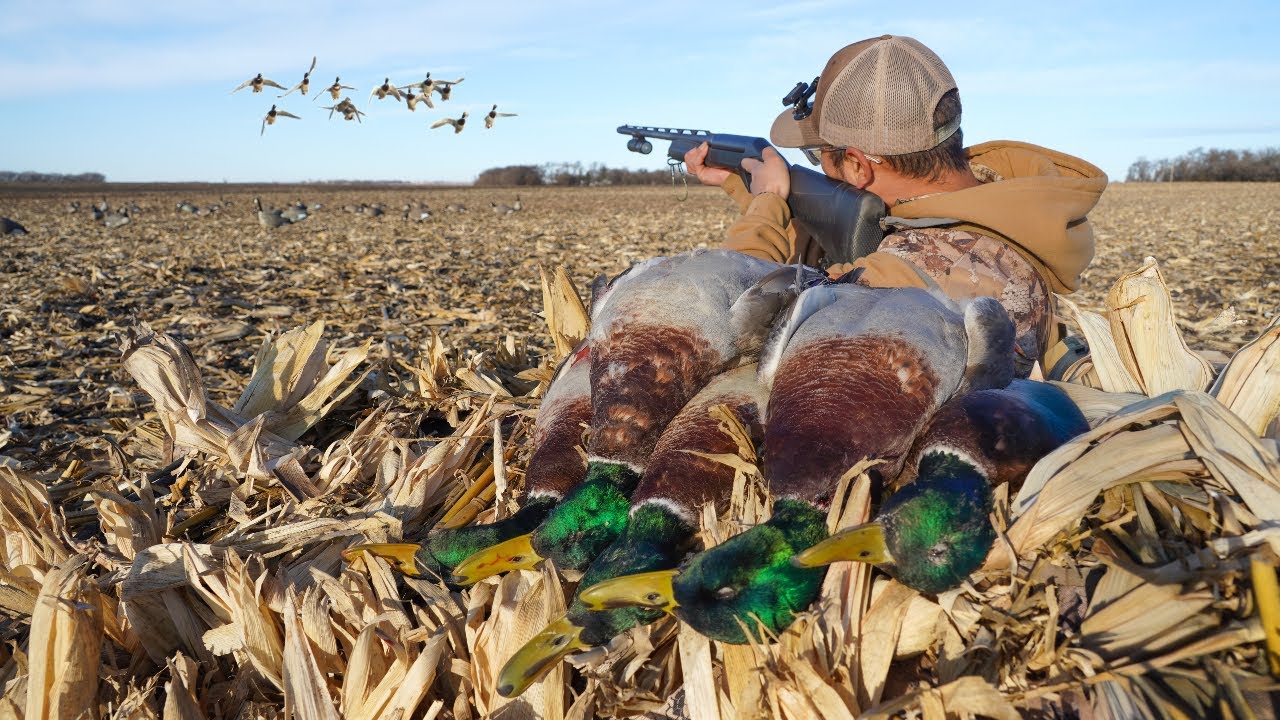SOLO 15 Minute Duck Hunting Limit! (CATCH CLEAN COOK) - YouTube