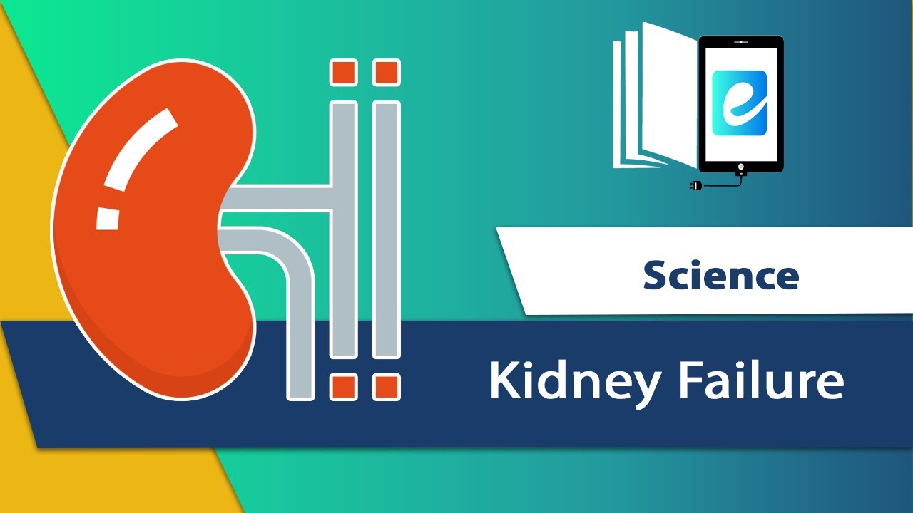 Kidney Failure|| Animated science video || elearn K12 - YouTube