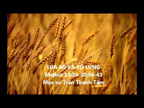 LÚA MÌ VÀ CỎ LÙNG - Sứ điệp MS Trần Thanh Tâm - YouTube