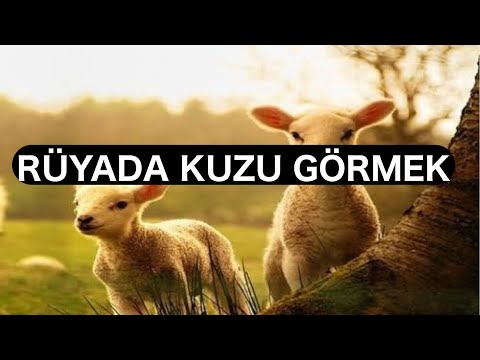RÜYADA KUZU GÖRMEK