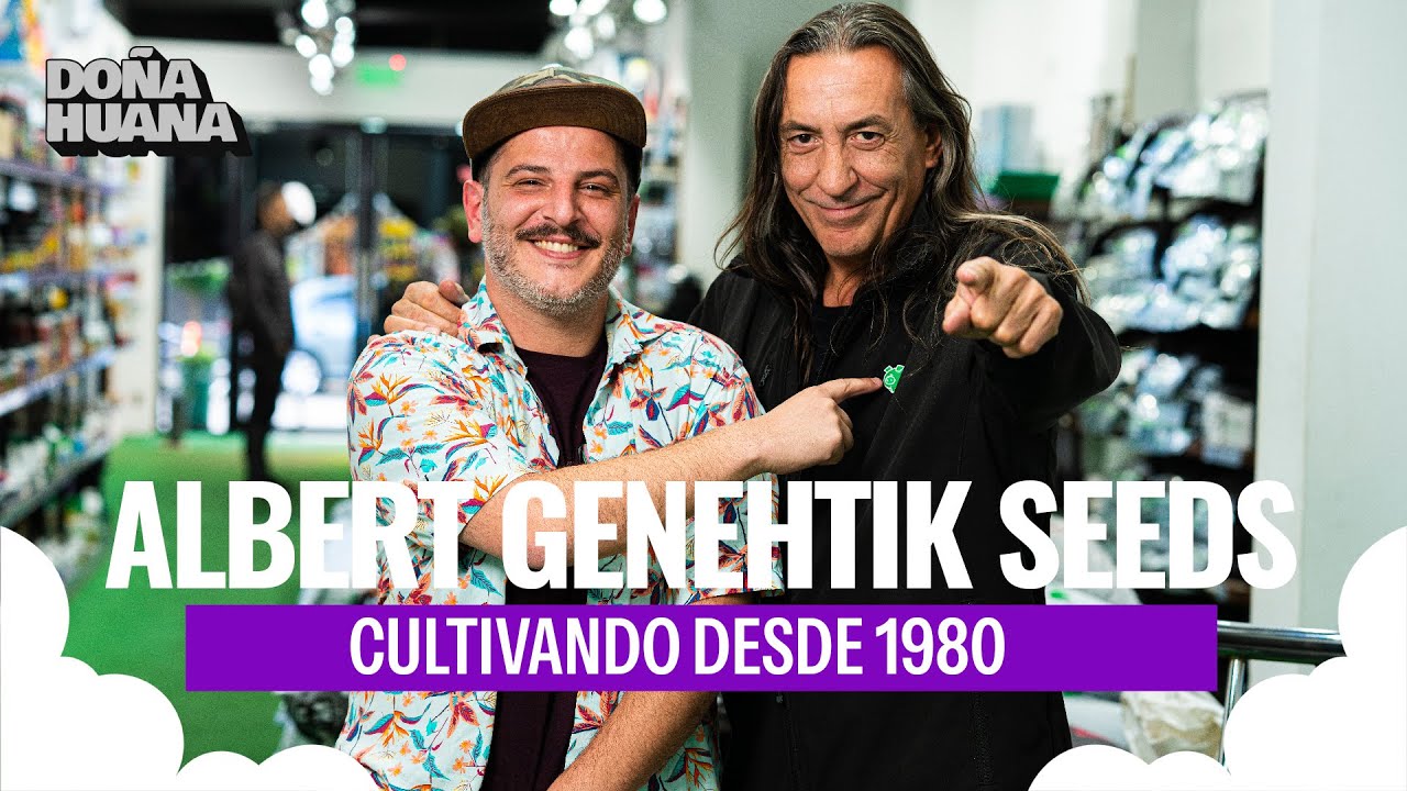 ENTREVISTA A ALBERT DE GENEHTIK SEEDS - KRITICAL BILBO - YouTube