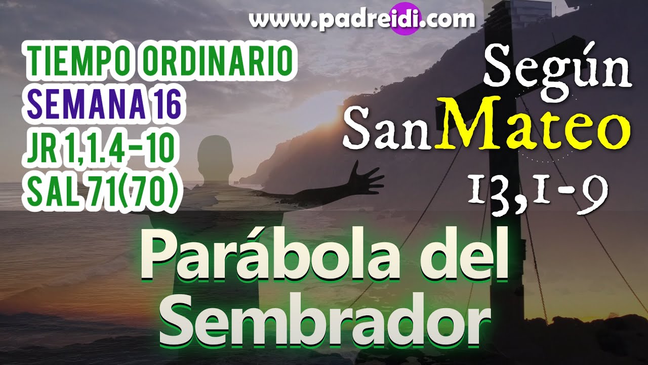 Julio 24, Evangelio según San Mateo 13,1-9, Cayó en tierra buena y dio ...