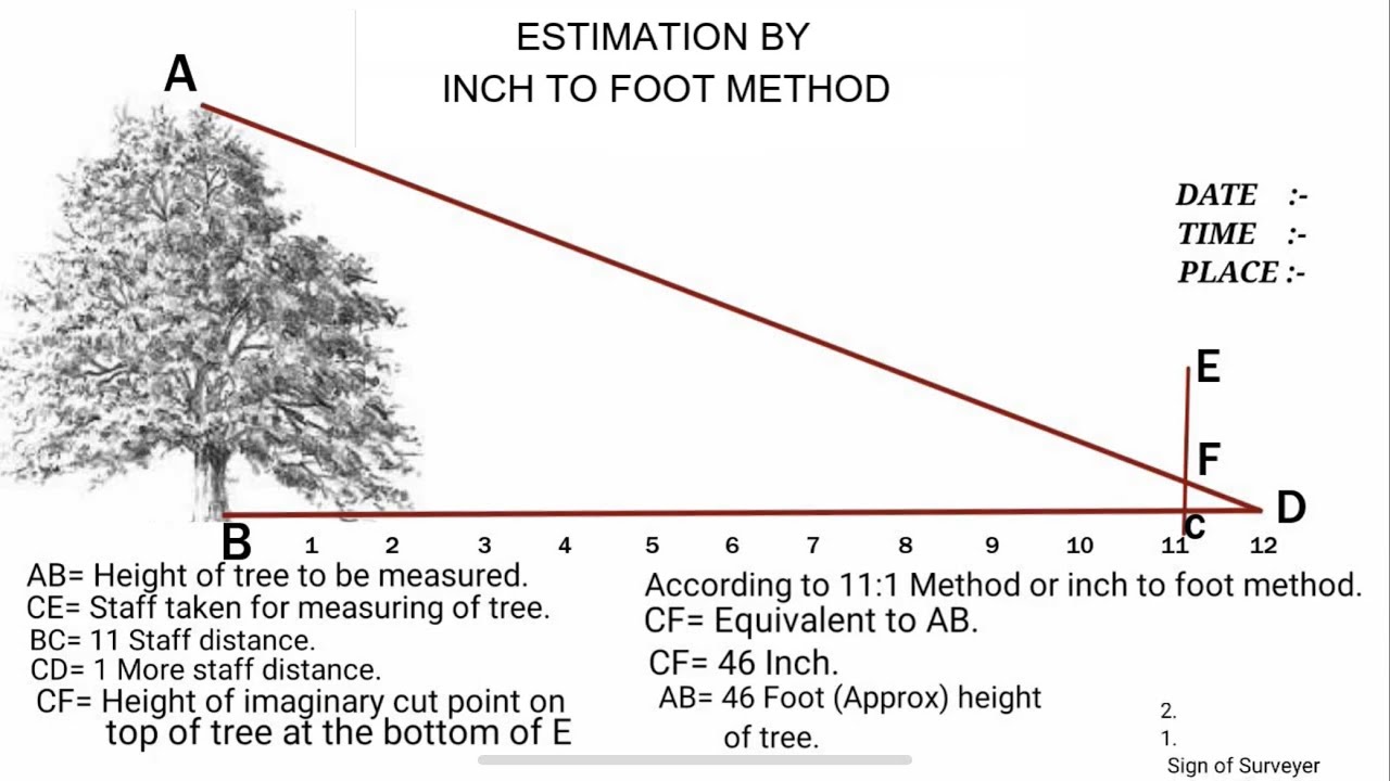 Estimation By Inch to Foot Method|| Bharat Scout & Guide - YouTube